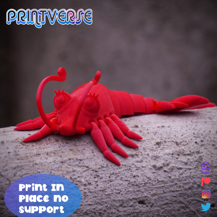 3D Printable Flexy Print In Place Shrimp by Printverse