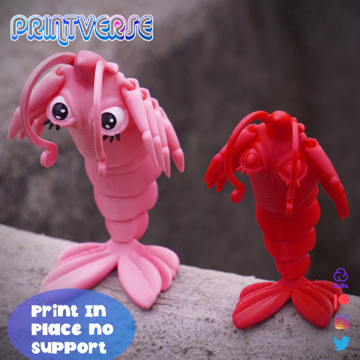3D Printable Flexy Print In Place Shrimp by Printverse