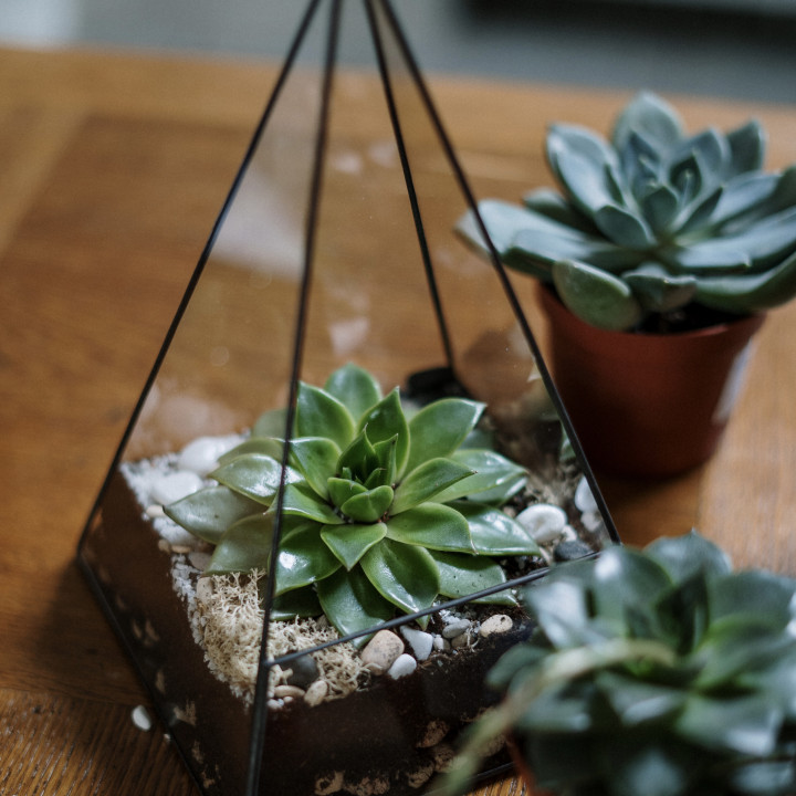 3D Printable TRIANGLE TERRARIUM / MOSSARIUM FRAME by Lazy Bear