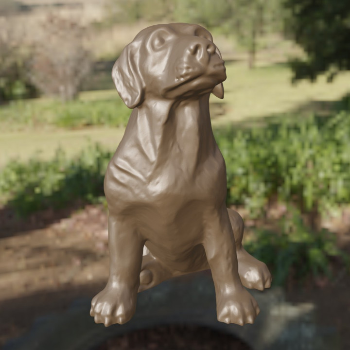 3D Printable Labrador by anthony
