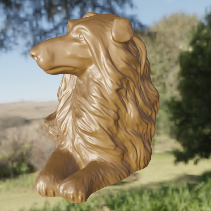 3D Printable Colley by anthony