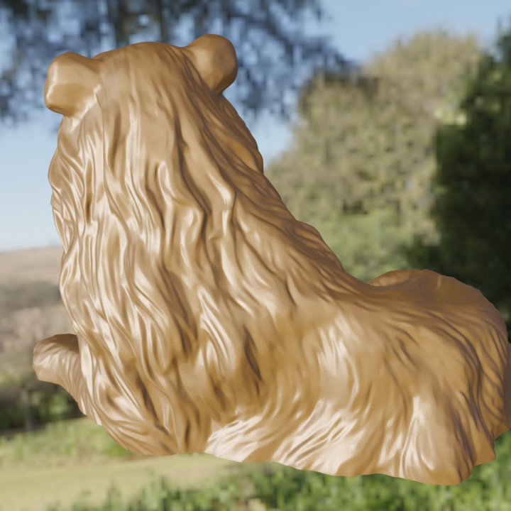3D Printable Colley by anthony