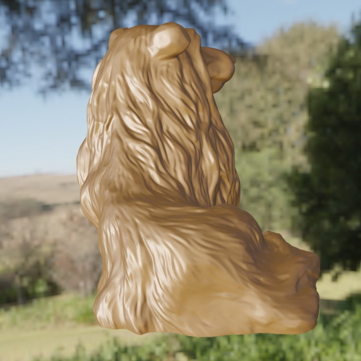 3D Printable Colley by anthony