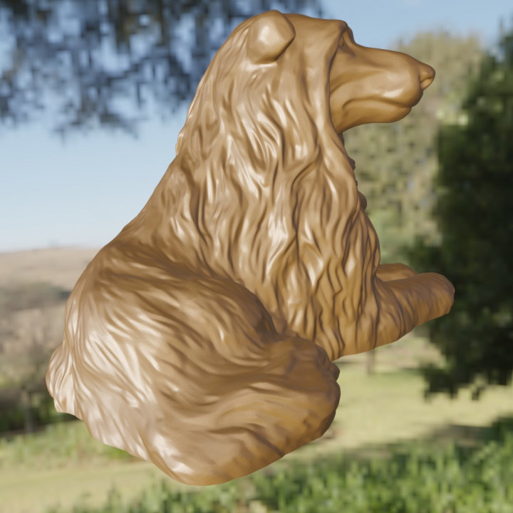 3D Printable Colley by anthony