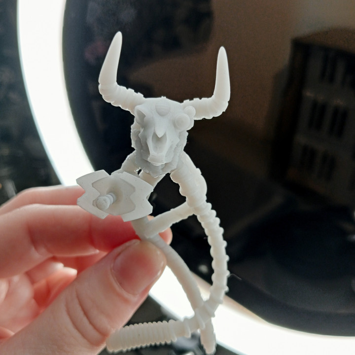 3D Print of Skull Drones by Worg