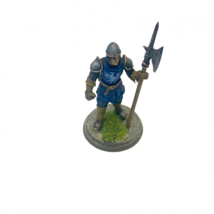 3D Printable Spearman + Halberdier Bundle (Heroes Glory) by Tiny Furniture