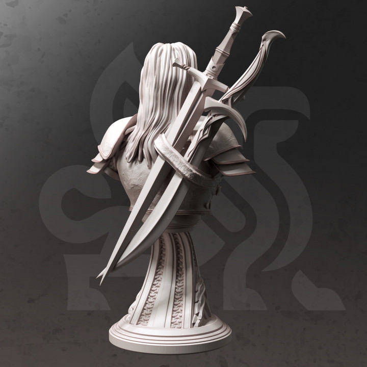 3D Printable BUST - Young Master Bloodhunter - Lina Vixine by DM Stash