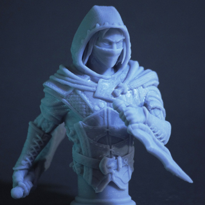 3D Printable The Thief Bust by Safehold