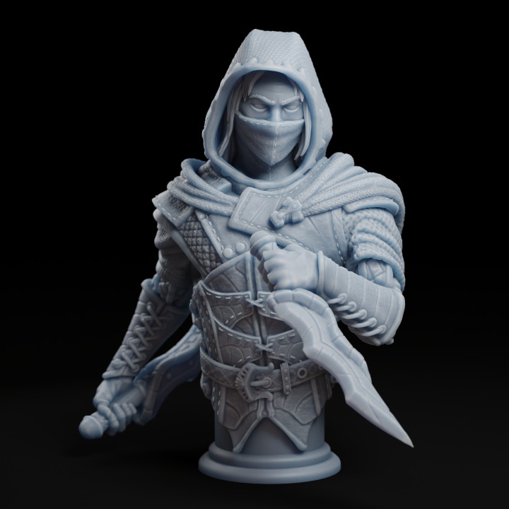 3D Printable The Thief Bust by Safehold