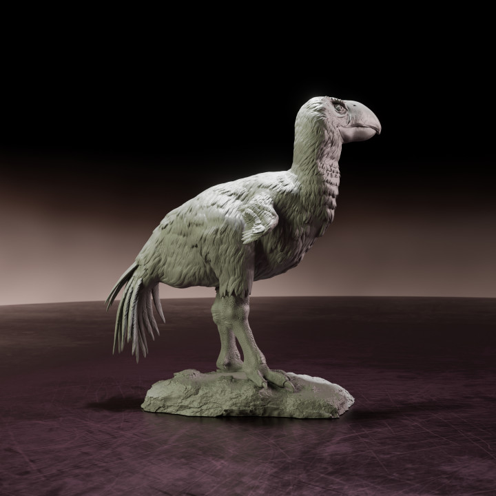 3D Printable Brontornis standing - pre-supported prehistoric bird by ...