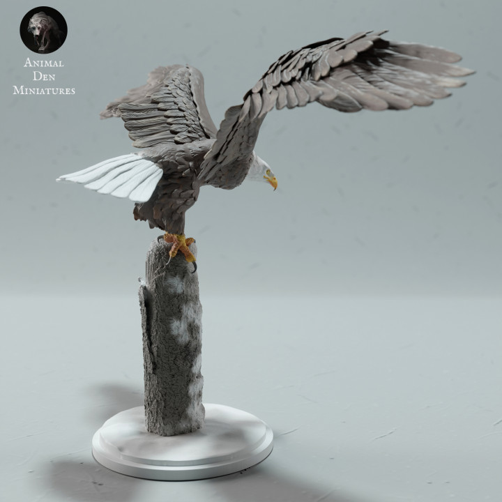 3D Printable Bald Eagle by Animal Den Miniatures