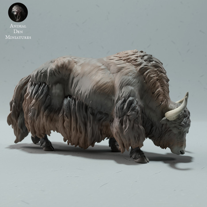 3D Printable Himalayan Wild Yak Grazing by Animal Den Miniatures