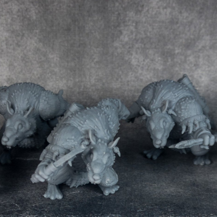3D Printable NETHERWORLDS EDGE 'Rat Snatchers Of Borgal Hollow' by ...