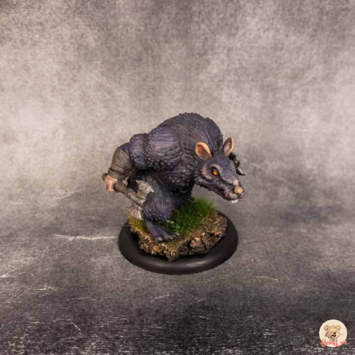 3D Printable NETHERWORLDS EDGE 'Rat Snatchers Of Borgal Hollow' by ...