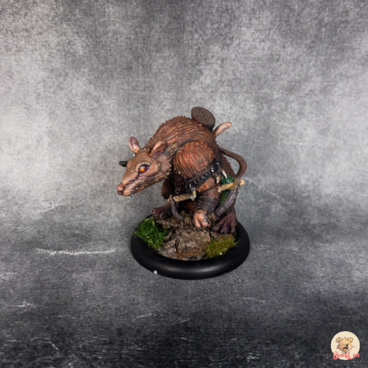 3D Printable NETHERWORLDS EDGE 'Rat Snatchers Of Borgal Hollow' by ...