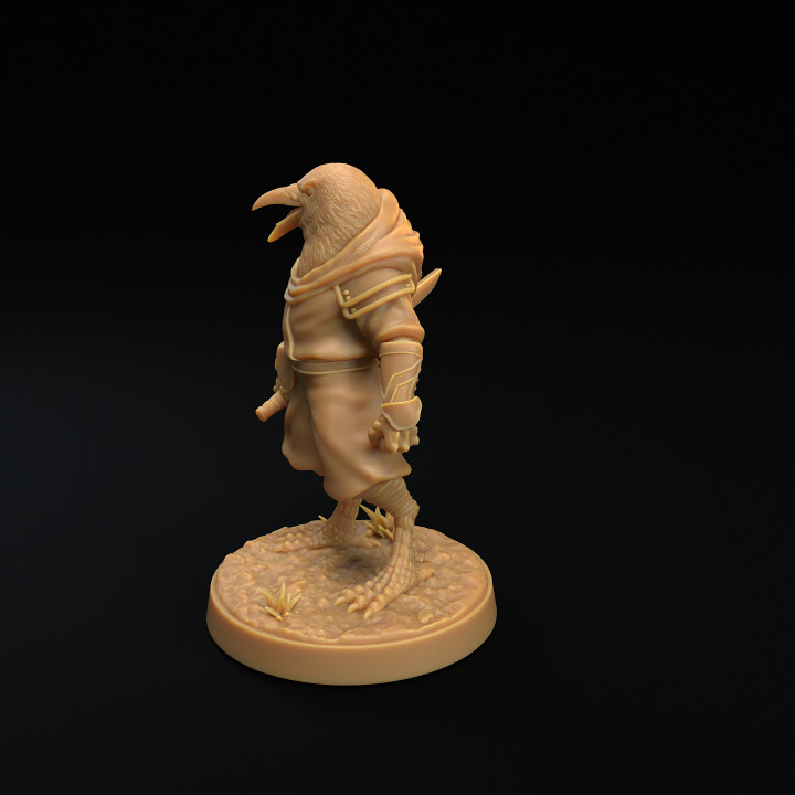 3D Printable Ravenfolk | PRESUPPORTED | Revenge of the Farmomancer by ...