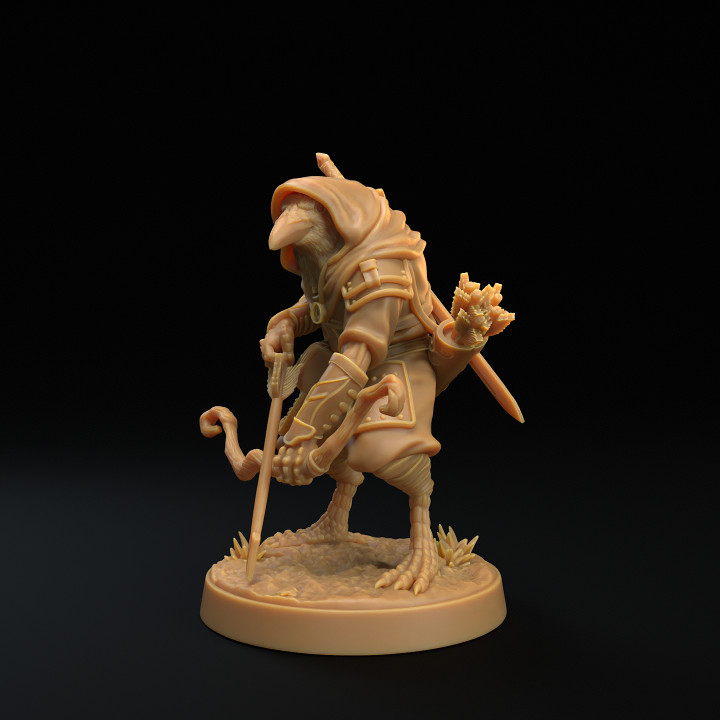 3D Printable Ravenfolk Heroes | PRESUPPORTED | Revenge of the ...