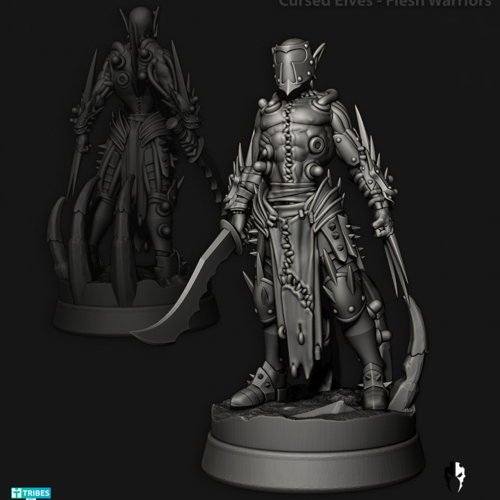 3D Printable Cursed Elves 2.0 - Flesh Elves Set by Edge Miniatures