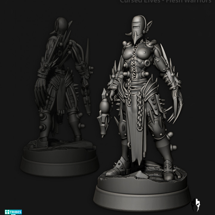 3D Printable Cursed Elves 2.0 - Flesh Elves Set by Edge Miniatures