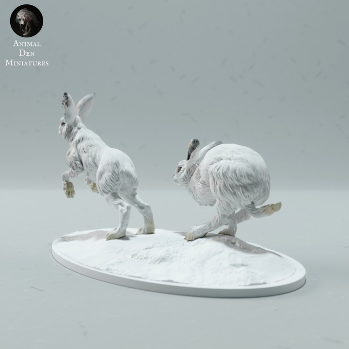 3D Printable Arctic Hares Run by Animal Den Miniatures