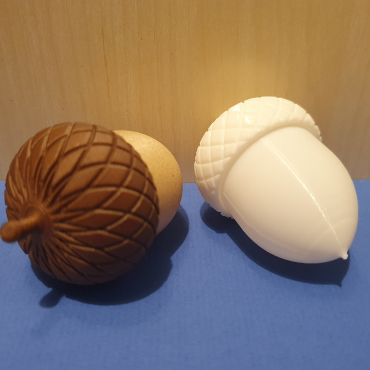 3D Printable Acorn box by Chris