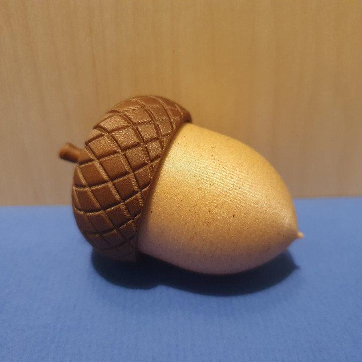 3D Printable Acorn box by Chris