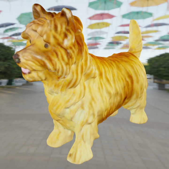 3D Printable Yorkshire by anthony