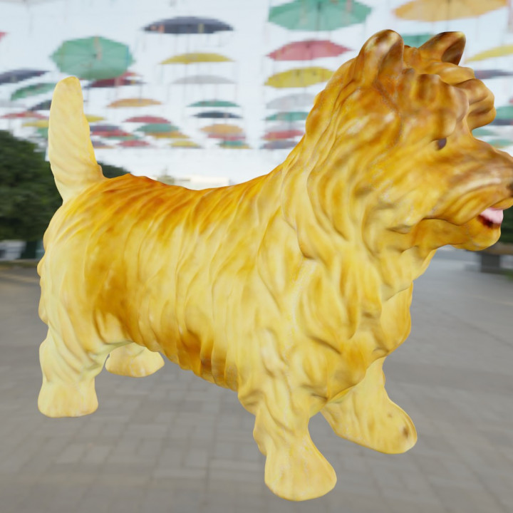 3D Printable Yorkshire by anthony