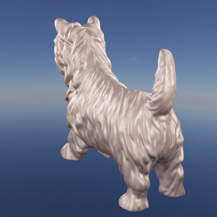 3D Printable Yorkshire by anthony