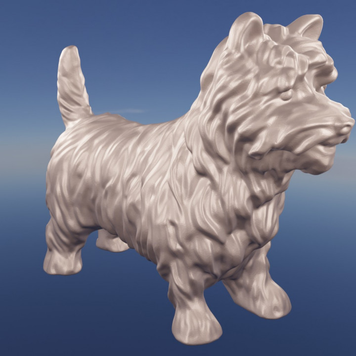 3D Printable Yorkshire by anthony