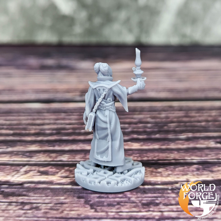3D Printable The Grand Library Collection by World Forge Miniatures