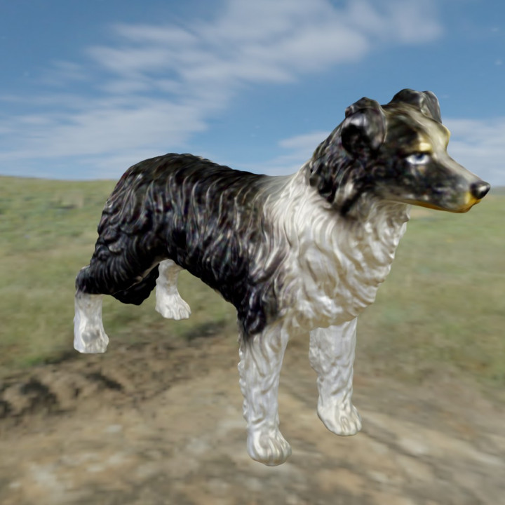 3D Printable Border Collie by anthony
