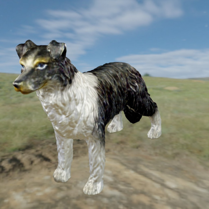 3D Printable Border Collie by anthony