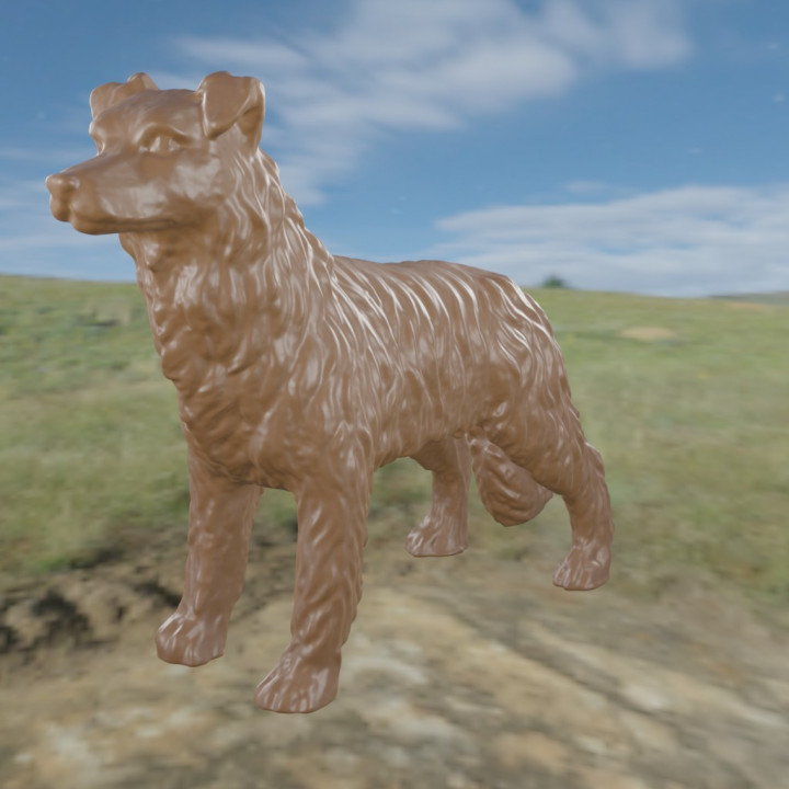 3D Printable Border Collie by anthony