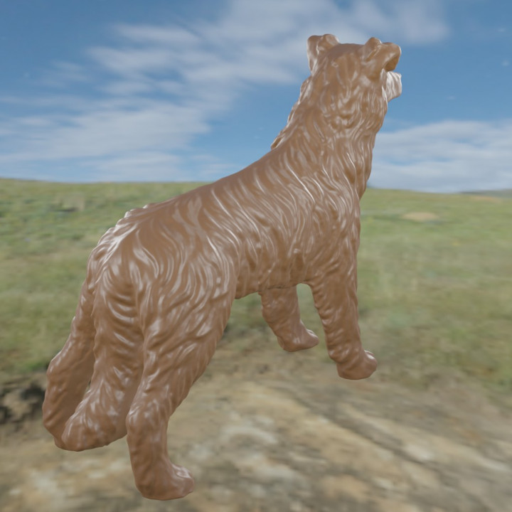 3D Printable Border Collie by anthony
