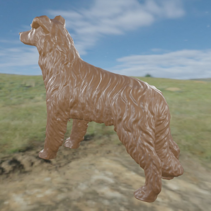 3D Printable Border Collie by anthony