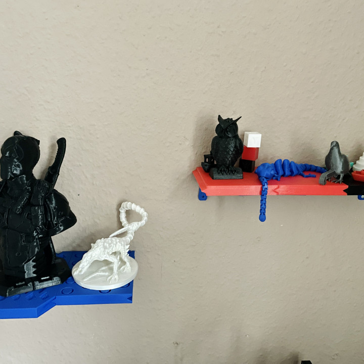 3D Printable Customizable Display Shelf_no supports needed by EndK7