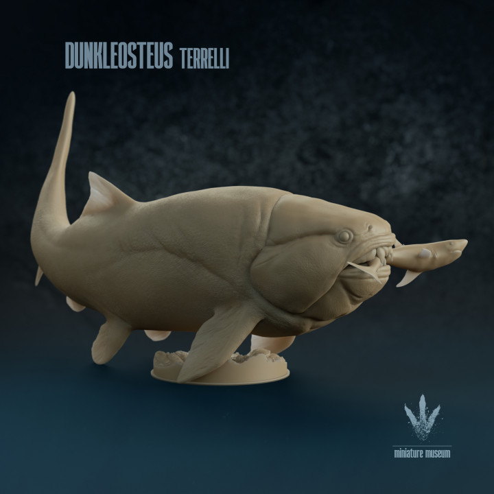 3D Printable Dunkleosteus terrelli : Hunt by Miniature Museum