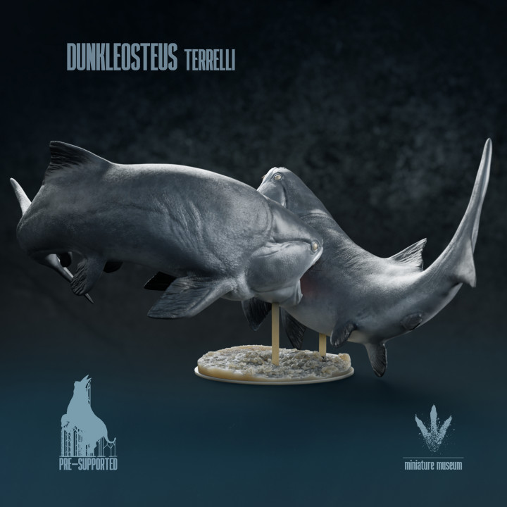 3D Printable Dunkleosteus terrelli : Fighter Fish by Miniature Museum