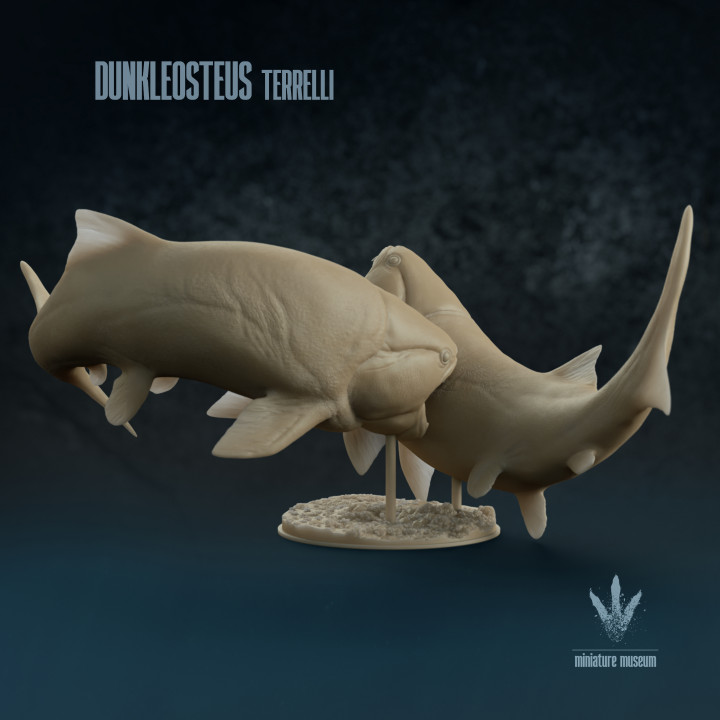 3D Printable Dunkleosteus terrelli : Fighter Fish by Miniature Museum