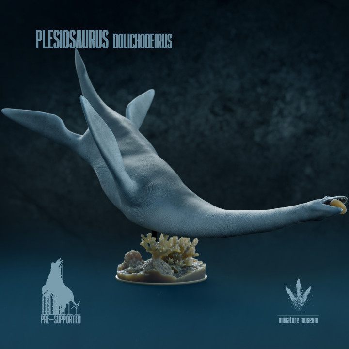 3D Printable Plesiosaurus dolichodeirus : The marine long-neck by ...