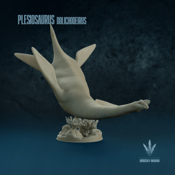 3D Printable Plesiosaurus dolichodeirus : The marine long-neck by ...