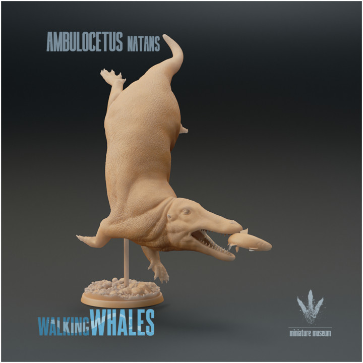 3D Printable Ambulocetus natans : Fishing by Miniature Museum