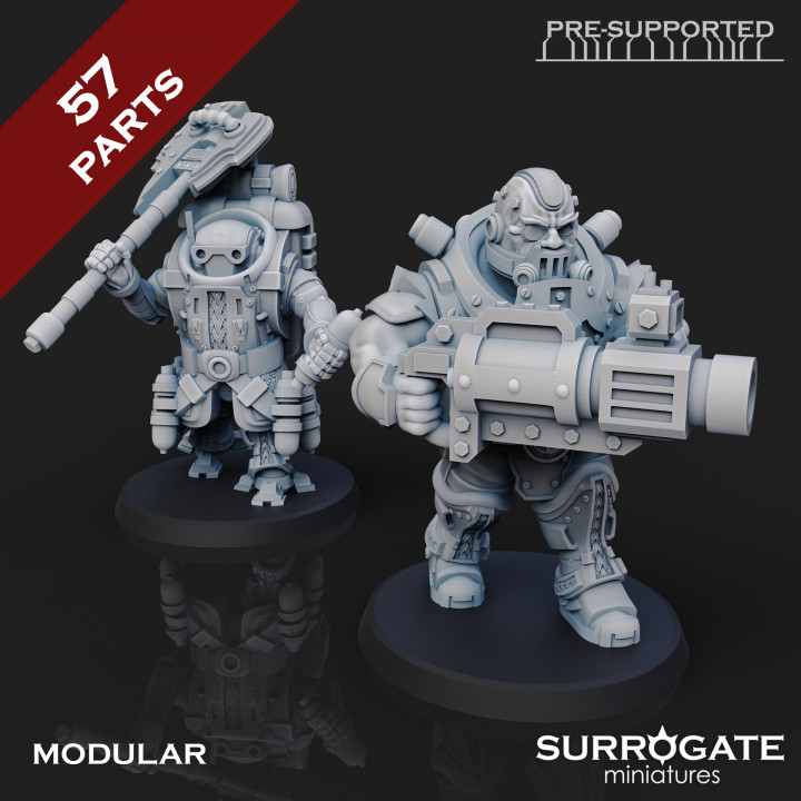 3D Printable Zoltan Alliance Sons of Berserkia, Surrogate Miniatures ...