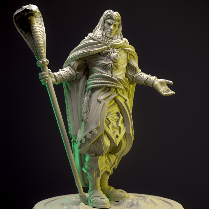 3D Printable Mage - snake warlock by Sam Bolotnikov