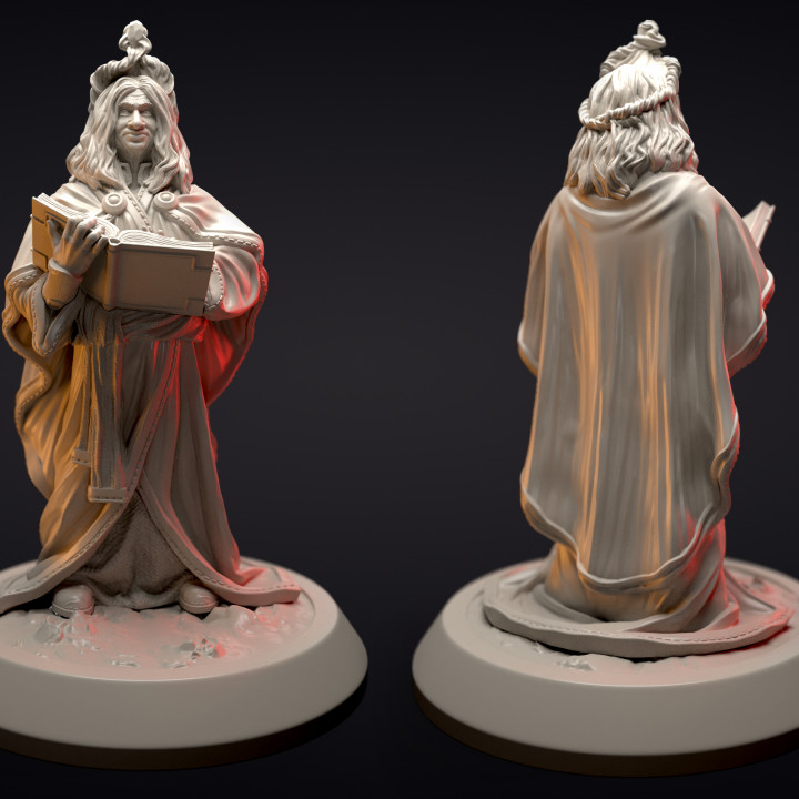 3D Printable Mages - librarian by Sam Bolotnikov