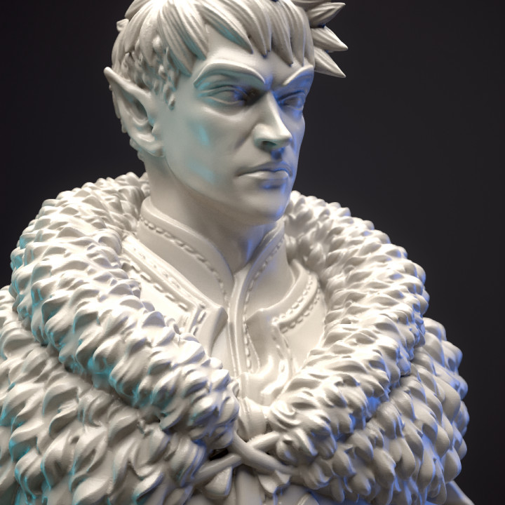 3D Printable Mage - snow elf by Sam Bolotnikov