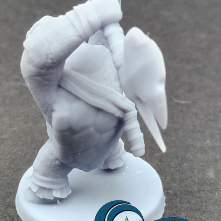 3D Printable Sea Tortle Warrior 5 by Wundervale Games