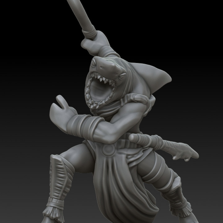 3D Printable Selachian - Mako Shark Assassin FEMALE by Wundervale Games