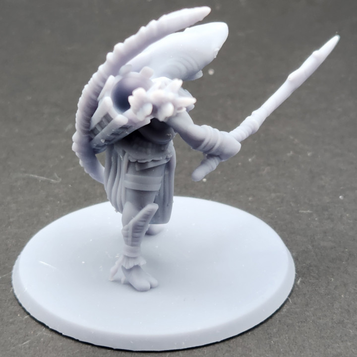 3D Printable Selachian - Blue Shark Archer FEMALE by Wundervale Games